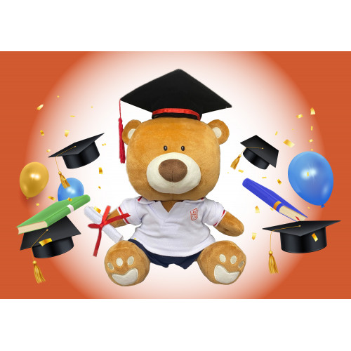 Graduation Teddy Bear